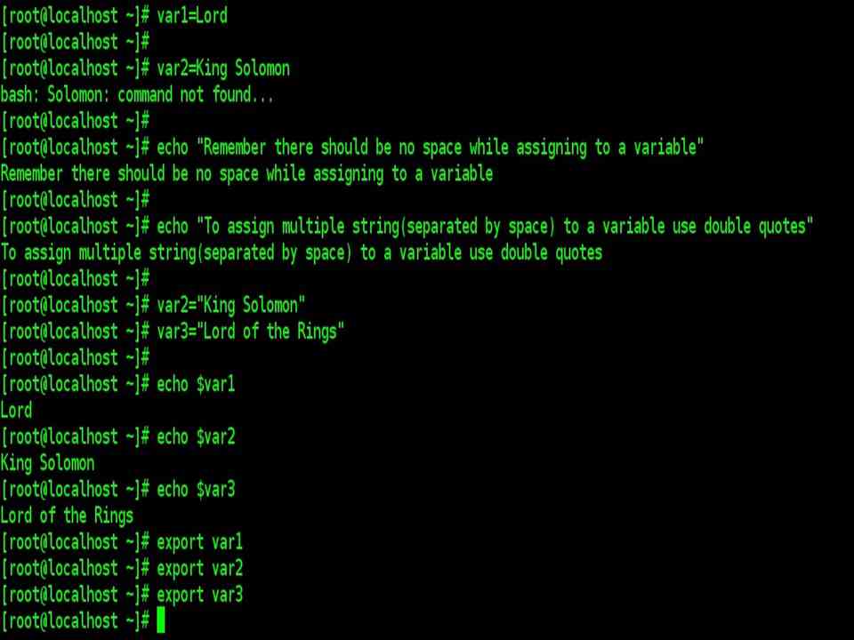 Linux Free Course Module 2 Chapter 2 SHELL VARIABLES PythonBaba